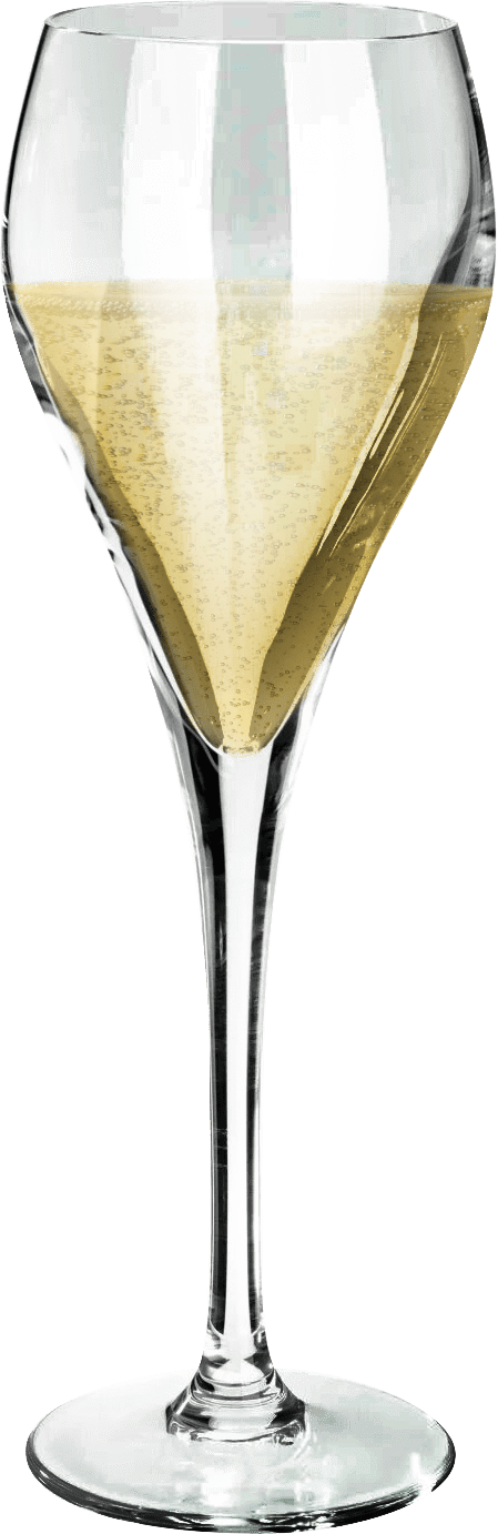 Castell d'Or | Tienda on-line de Vinos, Cavas y Espumosos