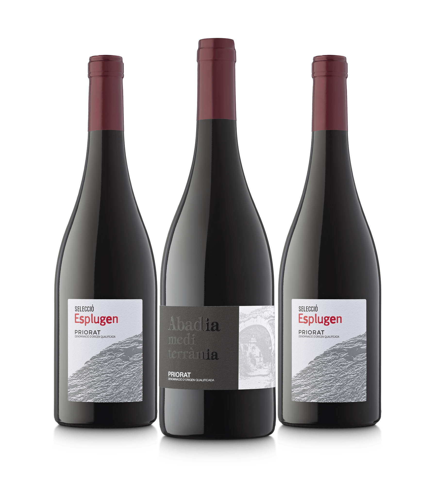 Priorat Wine Pack | Castell d'Or